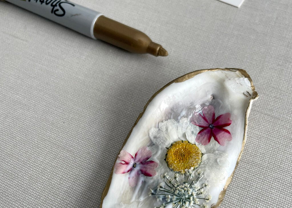 How To Make a Dried Oyster Shell Craft